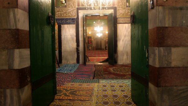 Nira Pereg – Braverman